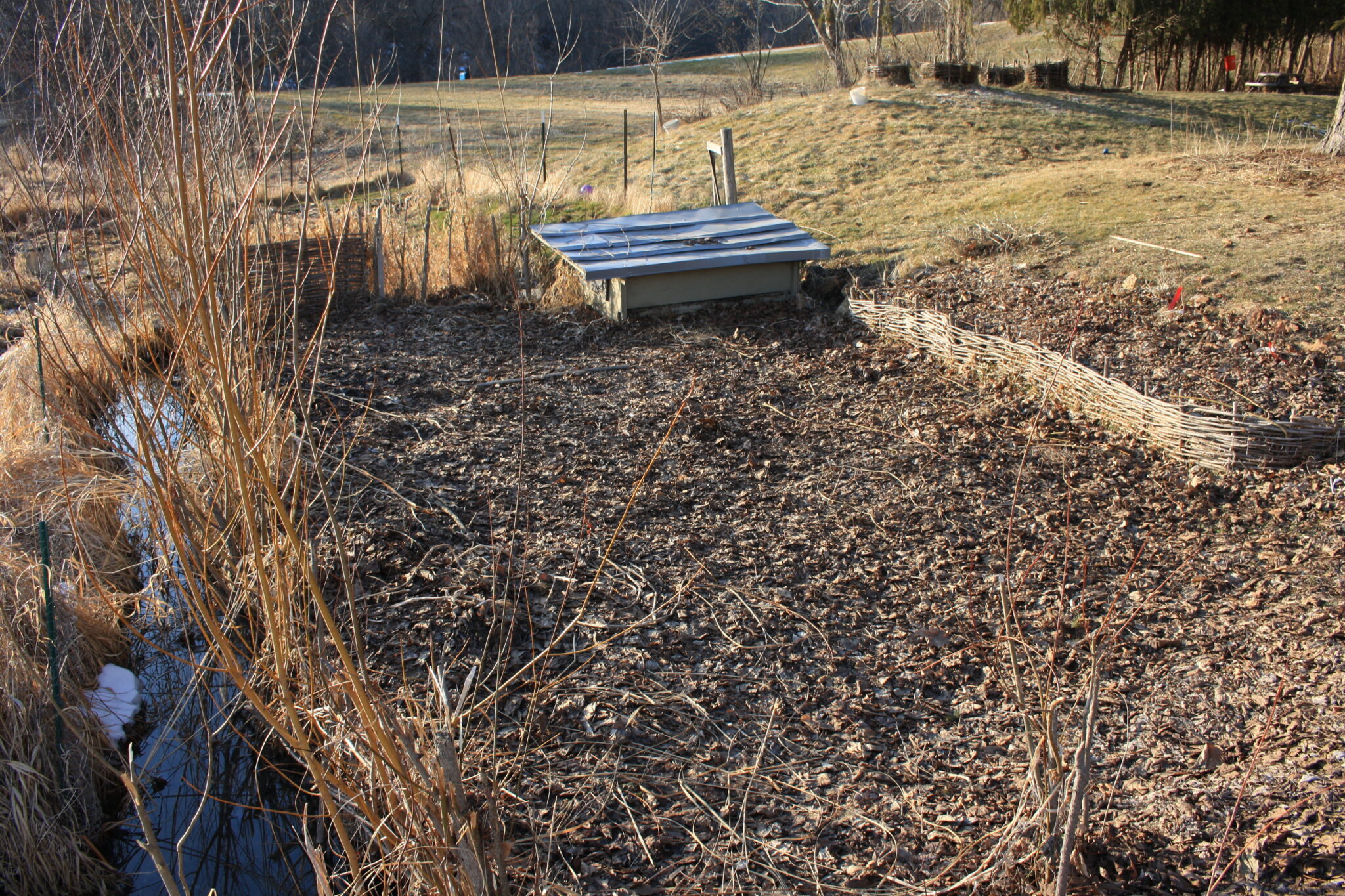 How to build a Garden in a Marsh - Peasant Ways for Modern Days