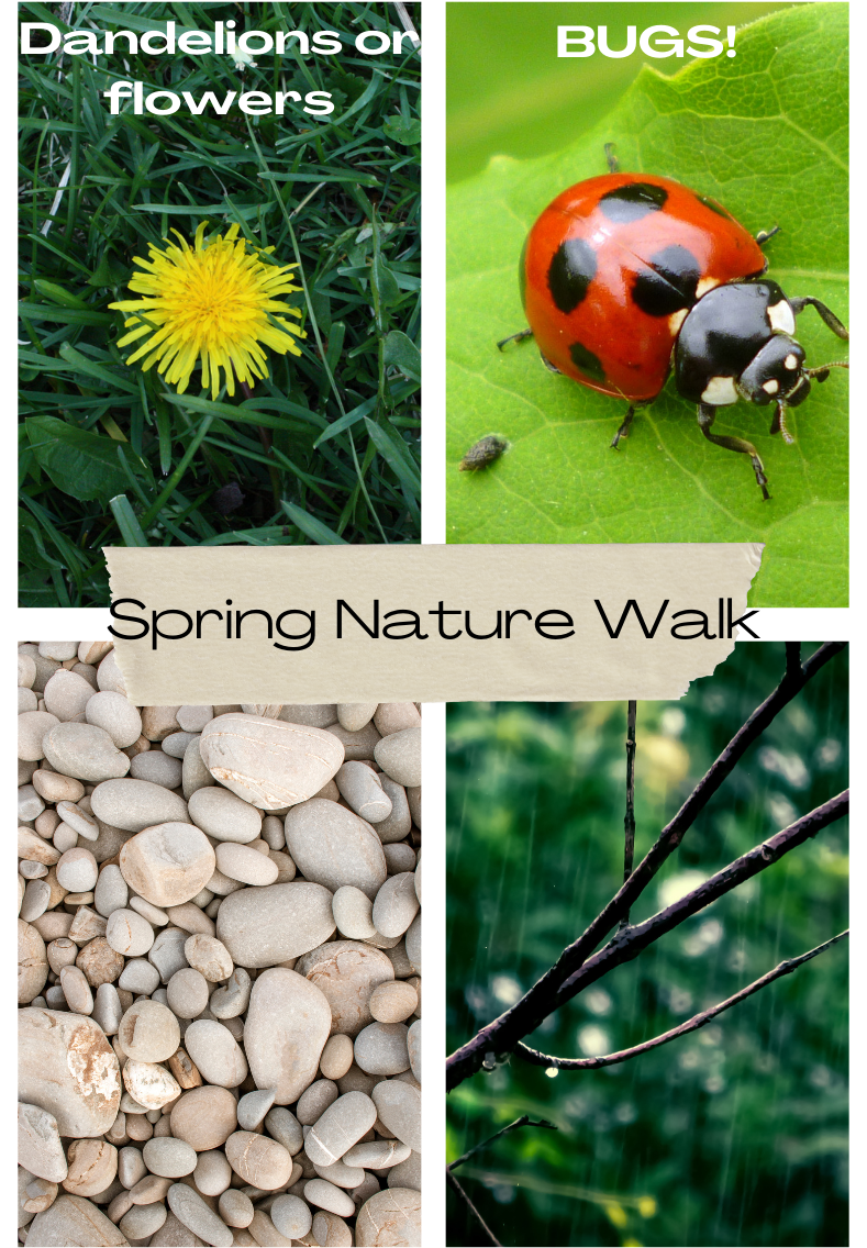 outdoor spring activities for kids with free nature walk templates ...