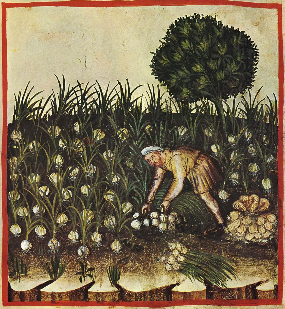 What would you see in a Medieval Vegetable Garden? - Peasant Ways for ...